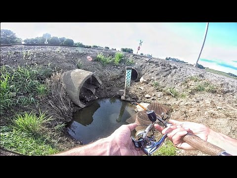 Fishing in a Puddle? Vlog#14 - YouTube