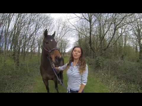 Blue Chip All Star Audition - Rhi Lee-Jones - YouTube