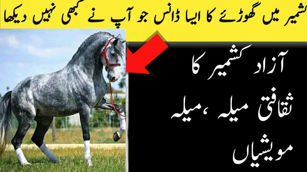 🦄Kashmir Pakistan Horse Dancing Festival 2020|Gora Dance|Culture Gora ...