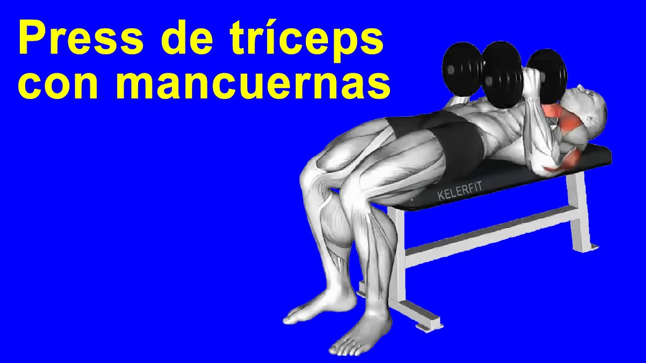 Como ejercitar el tríceps con la rutina press de tríceps con mancuernas ...