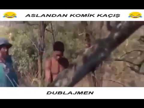 ASLANDAN KAÇIŞ / KOMİK DUBLAJ / DUBLAJMEN