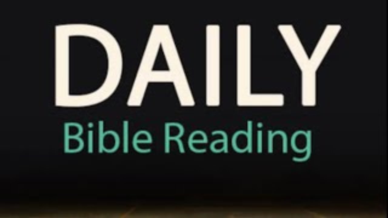 Job Chapter 16-25 | Daily Bible Reads - YouTube