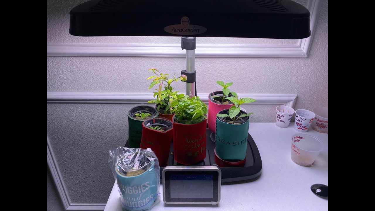 Mini Hydroponic - Complete Guide - YouTube