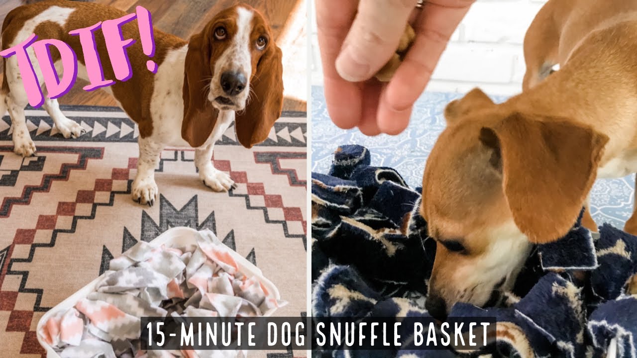 How To Make a Quick and Easy Dog Snuffle Basket - YouTube