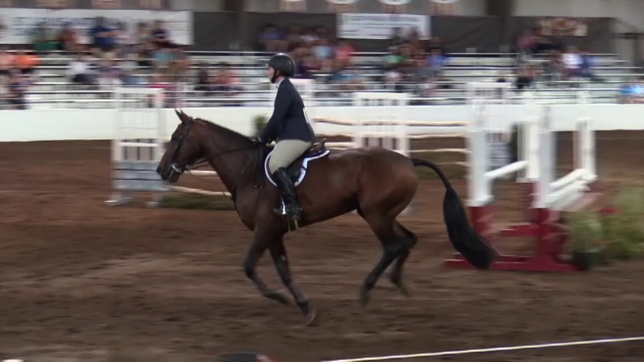 Abby Funk 2017 Regional Maclay Finals SLNCHS - YouTube