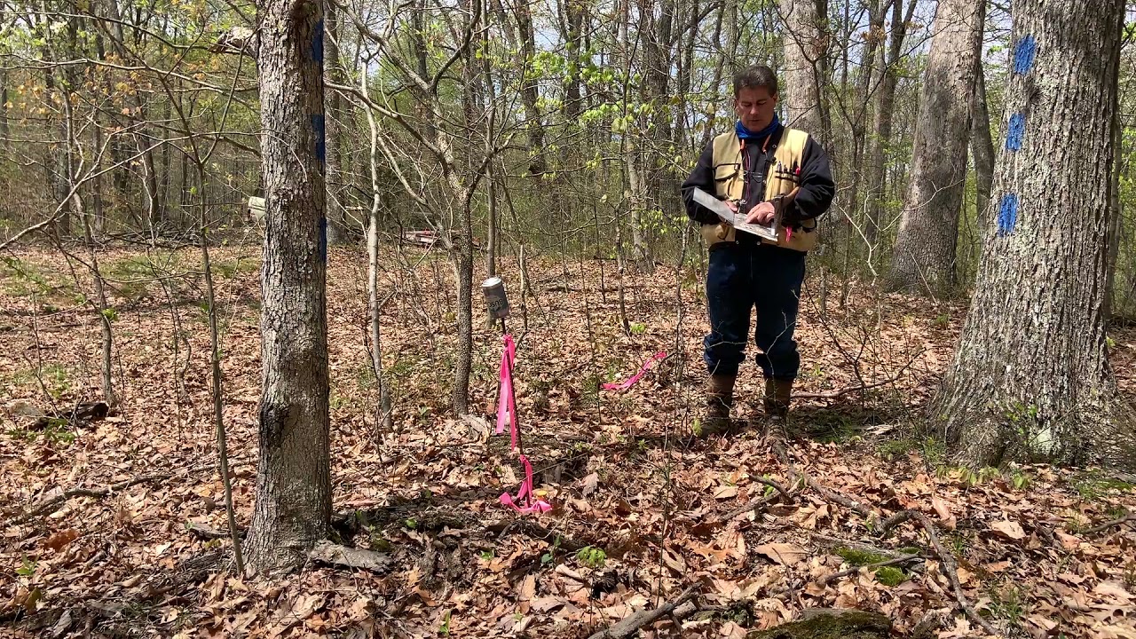 Woodland Boundaries: Locating and Marking Corners - YouTube