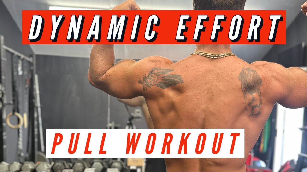 DYNAMIC EFFORT PULL WORKOUT | FULL CONJUGATE METHOD WORKOUT FOR ...