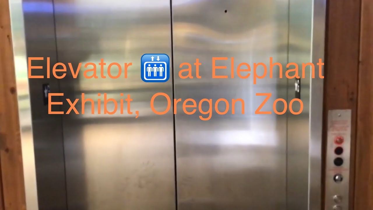 Oregon Zoo Elevator 🛗 - YouTube