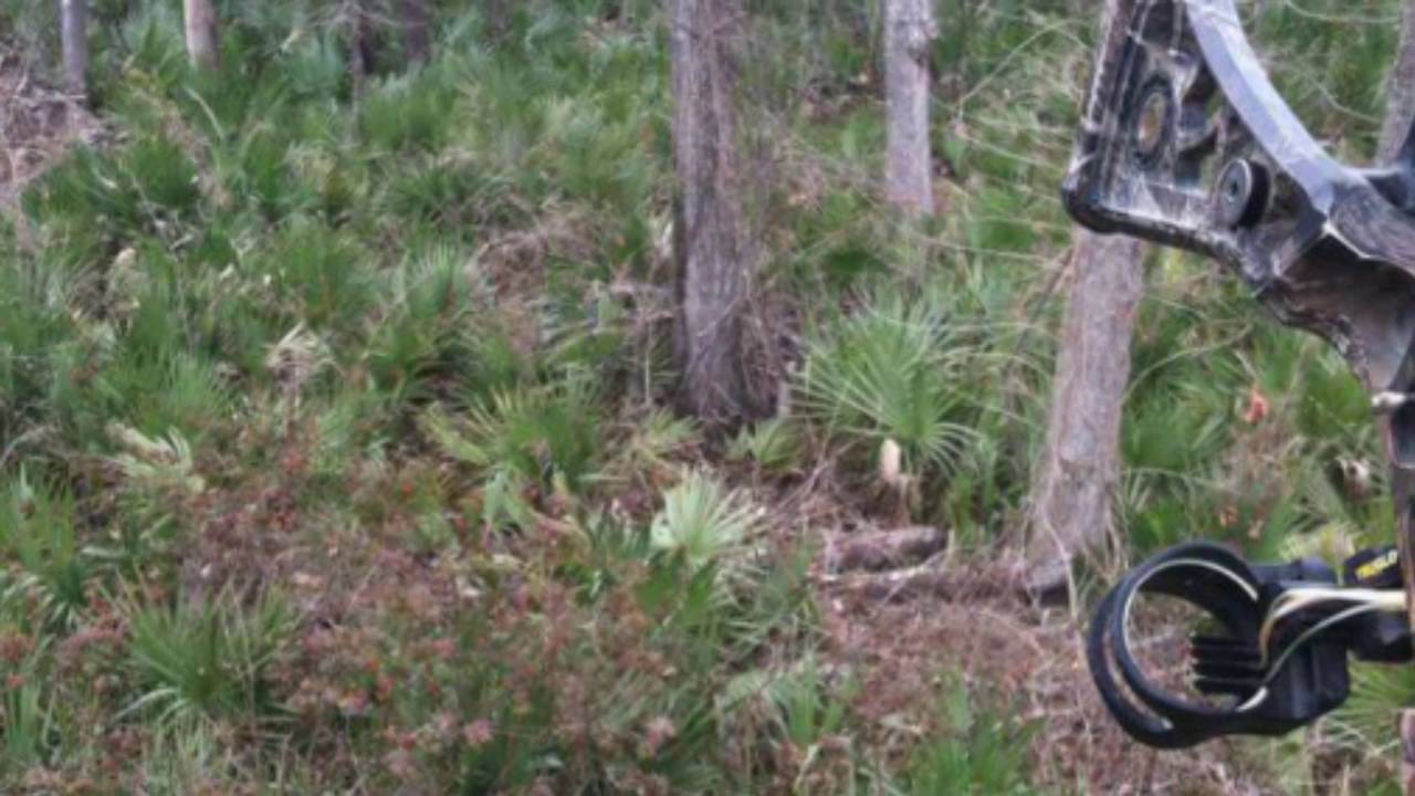 Thistlethwaite wma - YouTube