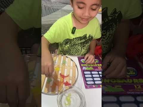 Capsule Growing Animals l Fun activity for kids - YouTube
