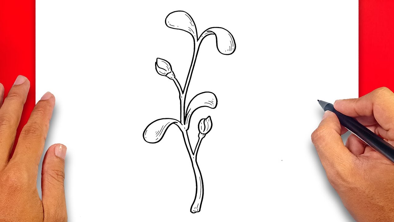 How to draw Alfalfa - Easy Drawing Alfalfa - YouTube