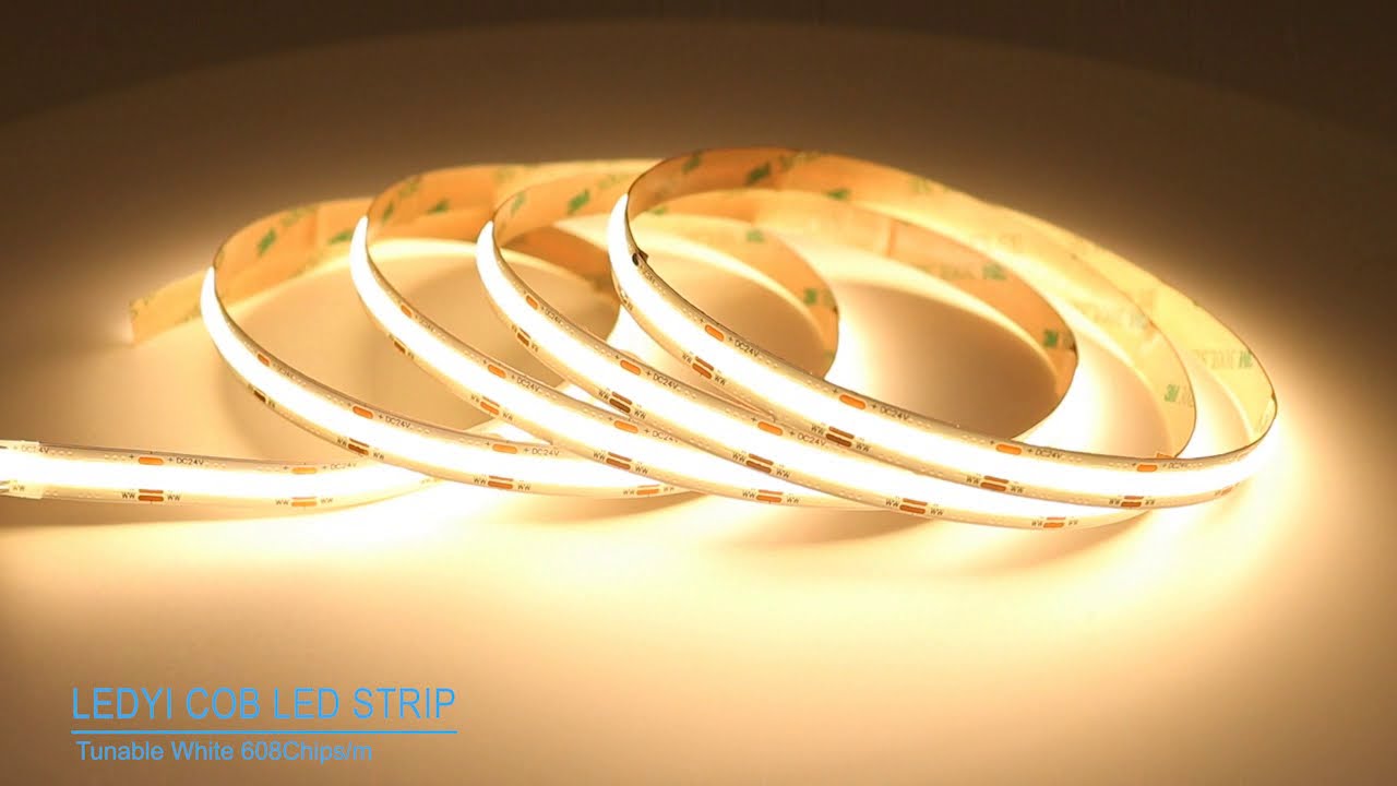 COB Tunable White Dual Color CCT LED Strip | Adjustable CCT COB LED ...