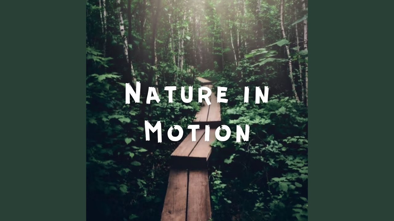 Fireplace Intense Sounds - YouTube