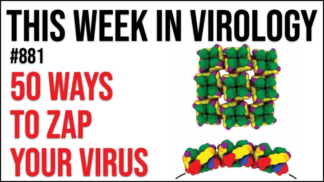 TWiV 881: 50 ways to zap your virus - YouTube