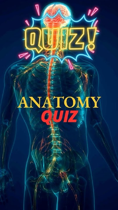 Mind-Blowing Anatomy Facts! 🧠⚡ | Dare to Take the 5-Question Pop Quiz Challenge? #callmequiz ...