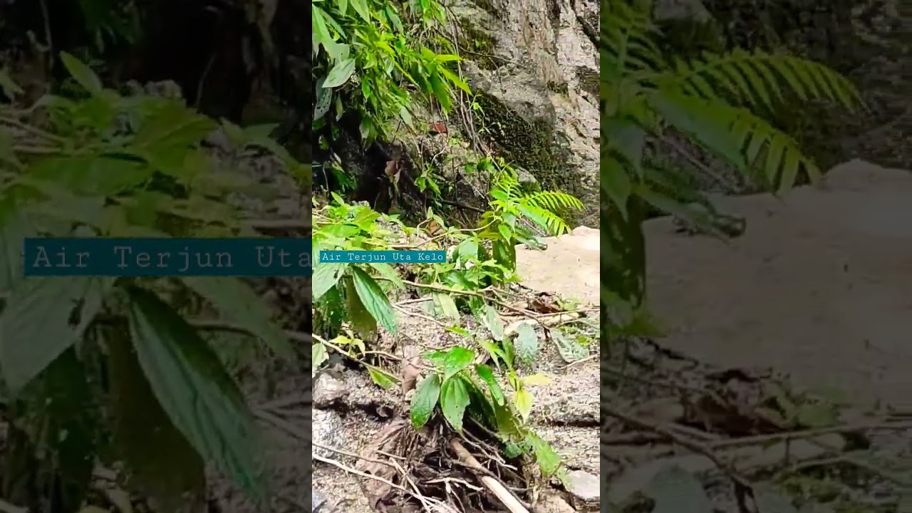 Air Terjun Uta Kelo - YouTube