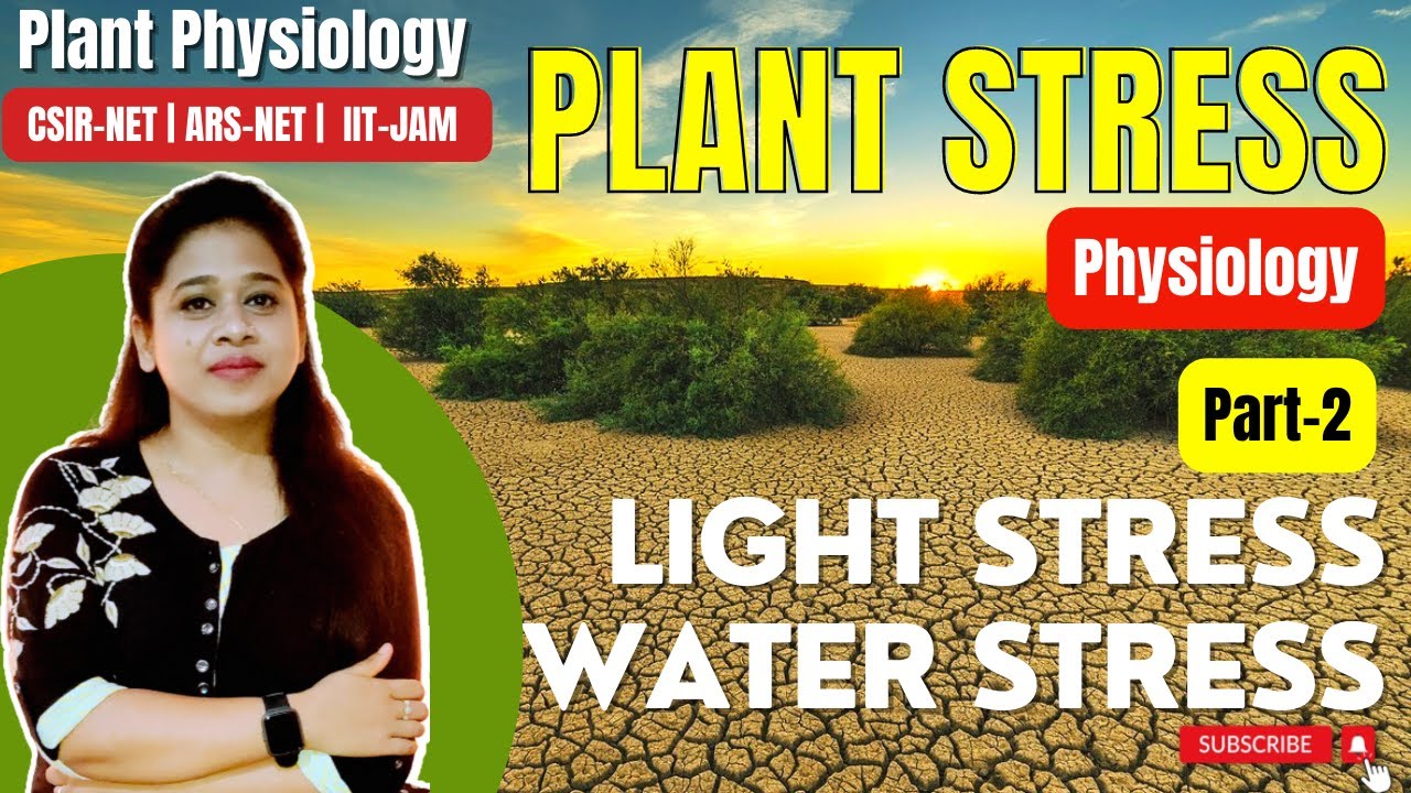 Plant Stress (Part 2) | Light Stress | Water Stress | Drought Stress ...