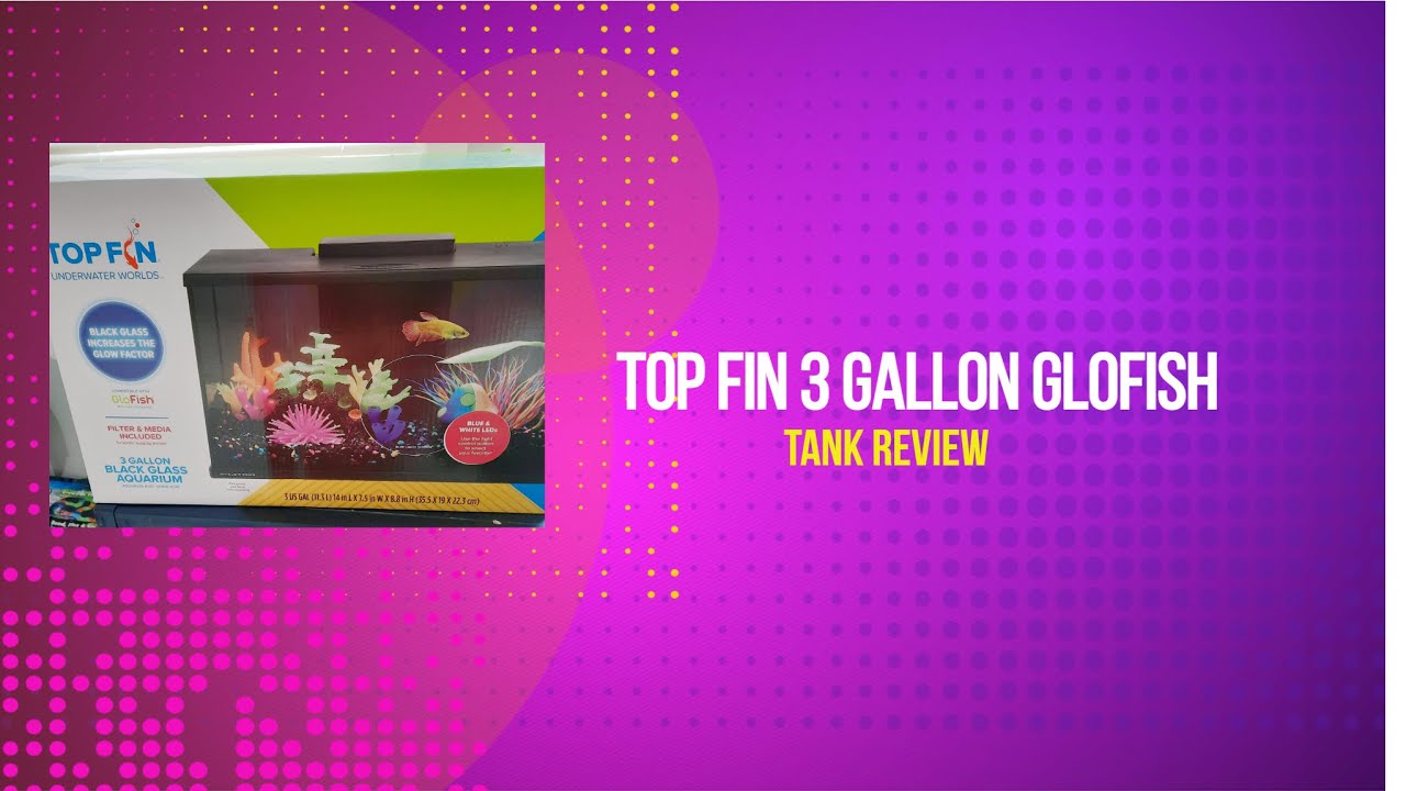 TopFin 3 gallon aquarium kit review||Betta Tank - YouTube