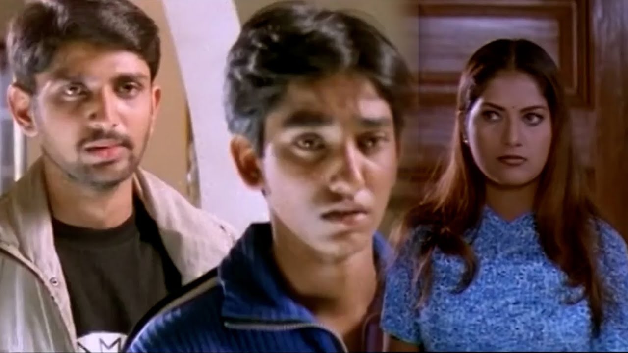 Ruthika Gives Strong Warning to Rohit Best Scene || Telugu Movie Best ...