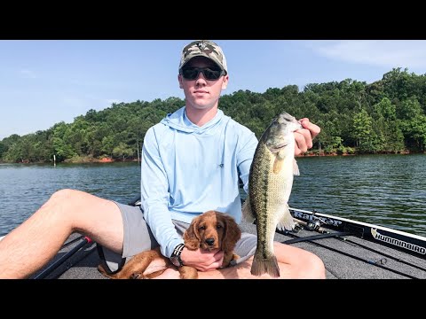 Luka’s first fishing trip! - BIG spotted bass - YouTube