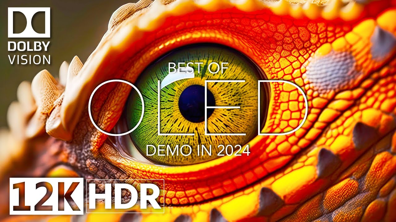 THE WORLD IN YOUR EYES in 12K HDR Dolby Vision™ (BEST OF OLED) - YouTube