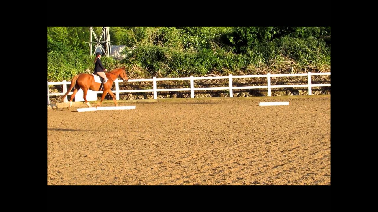 Prelim 14 - First Dressage Test Fail - YouTube