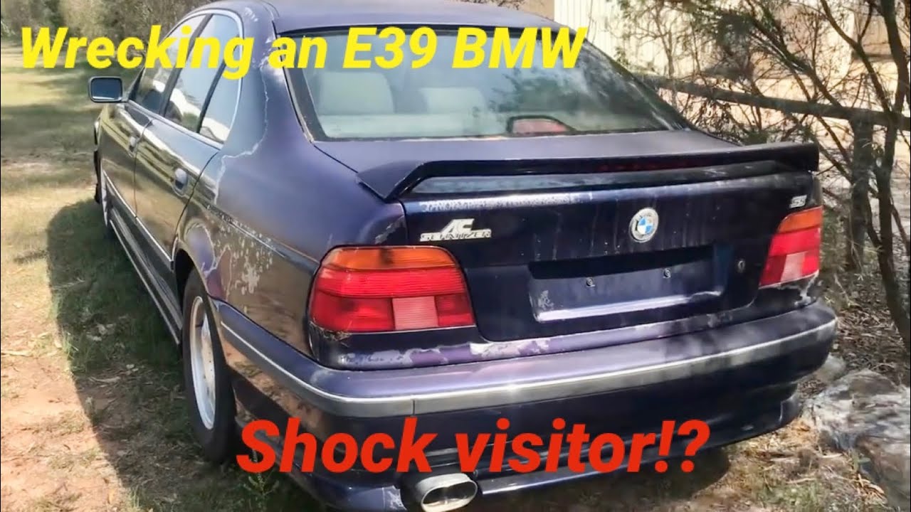 Wrecking the E39 BMW continues. Plus a MASSIVE shock lol - YouTube