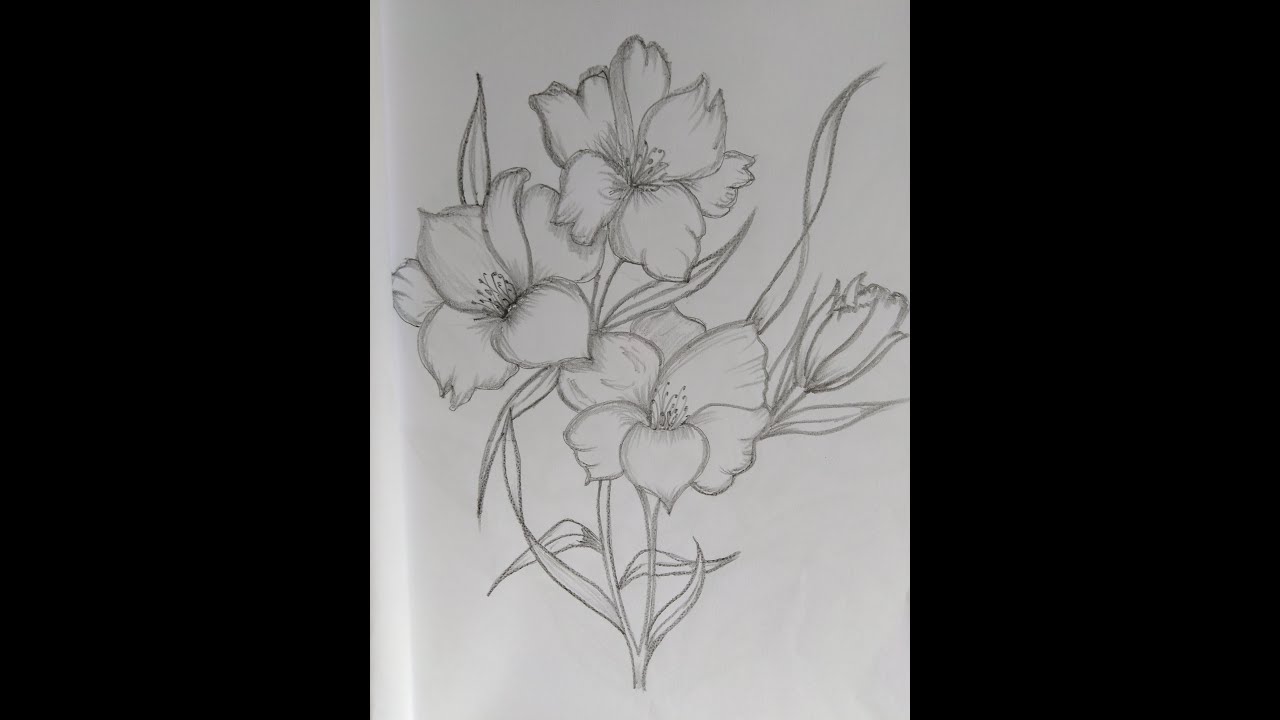 Pencil shade flower drawing - YouTube