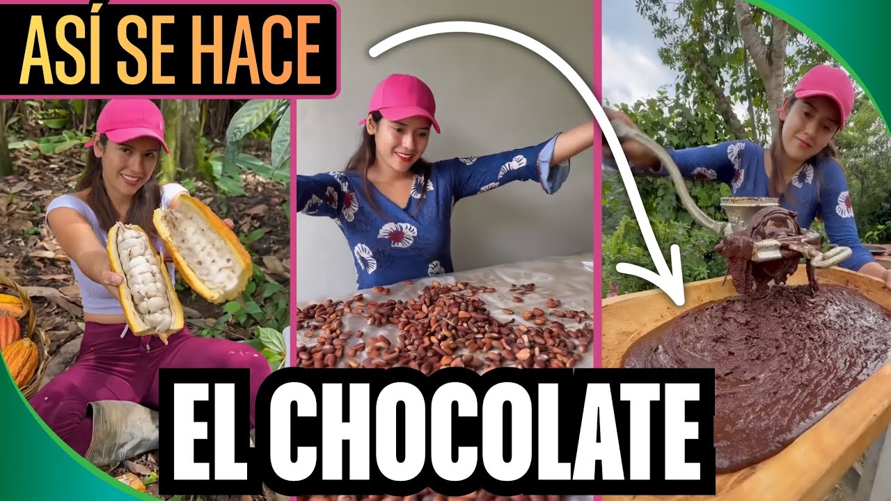 El Secreto para hacer CHOCOLATE CASERO desde CERO - Todo el proceso ...