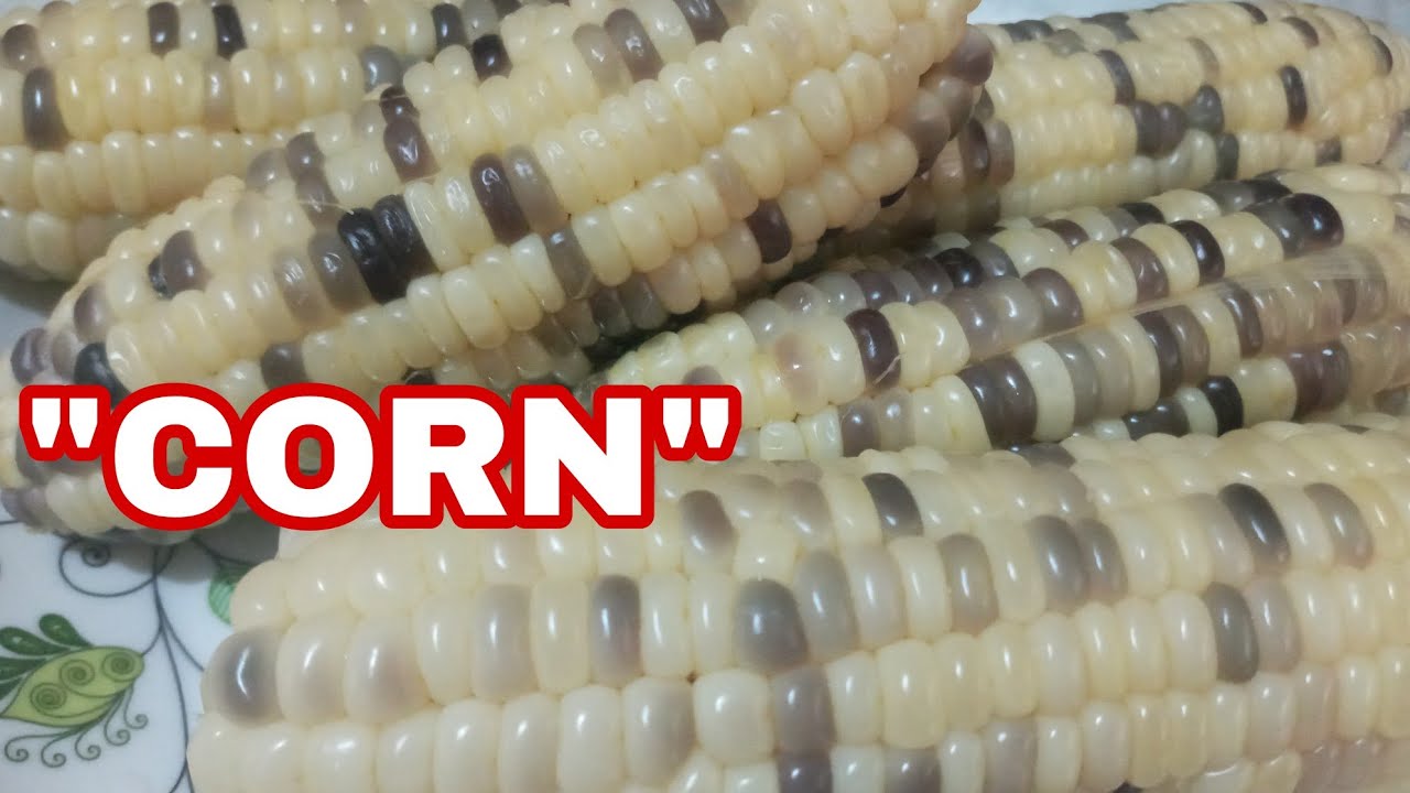 YUMMY CORN | FRESH FROM THE FARM | SARAP MERiENDA | mhargzTVsky - YouTube