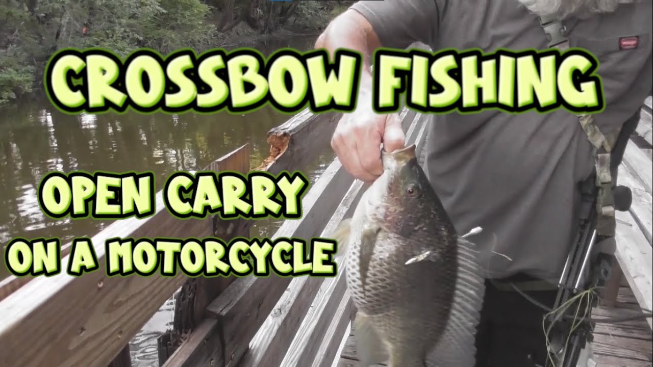 OPEN CARRY on MOTORCYCLE on the way FISHING with a CROSSBOW at MORRIS ...