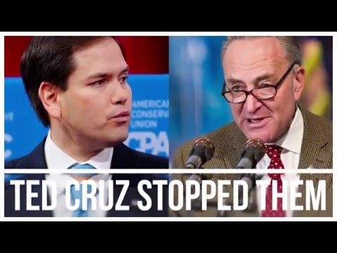 2016 Ted Cruz Campaign Ad - Which One Do You Trust? - YouTube