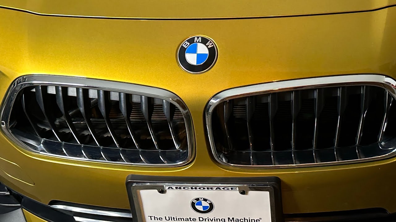 HOW TO MAKE THE FRONT GRILLES ON YOUR BMW LOOK BRAND NEW @tsma @target ...