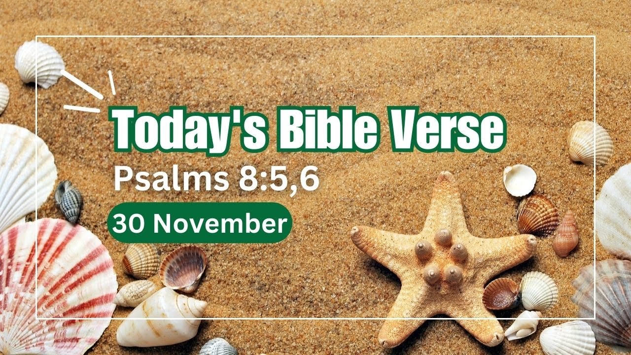 Today’s Bible Verse with explanation Psalms 8:5,6 | Lower than angles ...