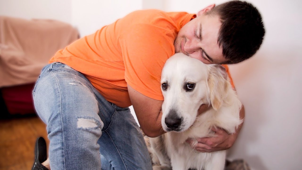 I Hug My Golden Retriever Many Times - YouTube