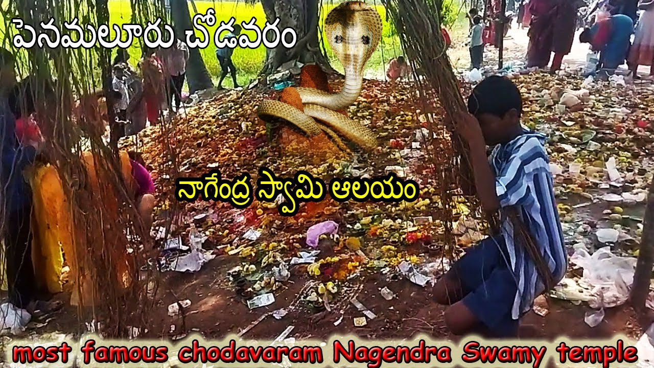 chodavaram Nagendra Swamy temple#Vijayawada most famous chodavaram ...