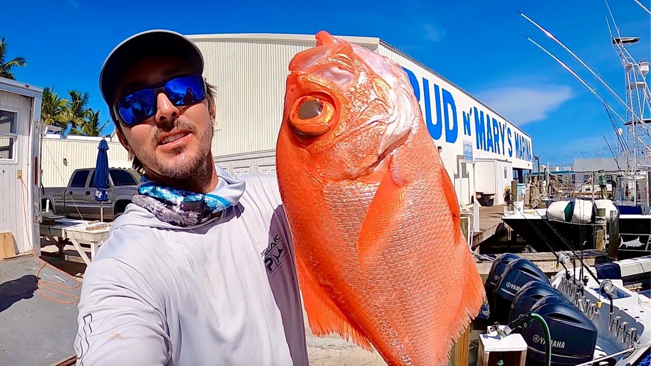 EXOTIC FISH in 1000' of water! Catch/Clean/Cook with BlueGabe - YouTube