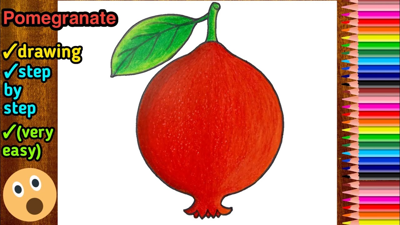 pomegranate drawing // easy pomegranate draw step by step // fruit ...