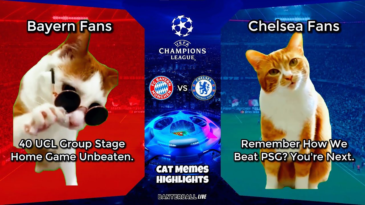 Bayern Munich 3-1 Chelsea | Cat Memes Highlights | Champions League ...