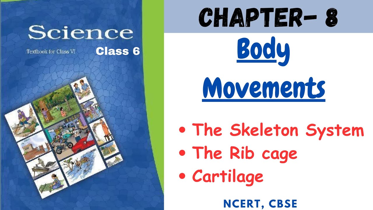 Class 6 NCERT Science Chapter 8 || Body Movements ~ The Skeleton System ...