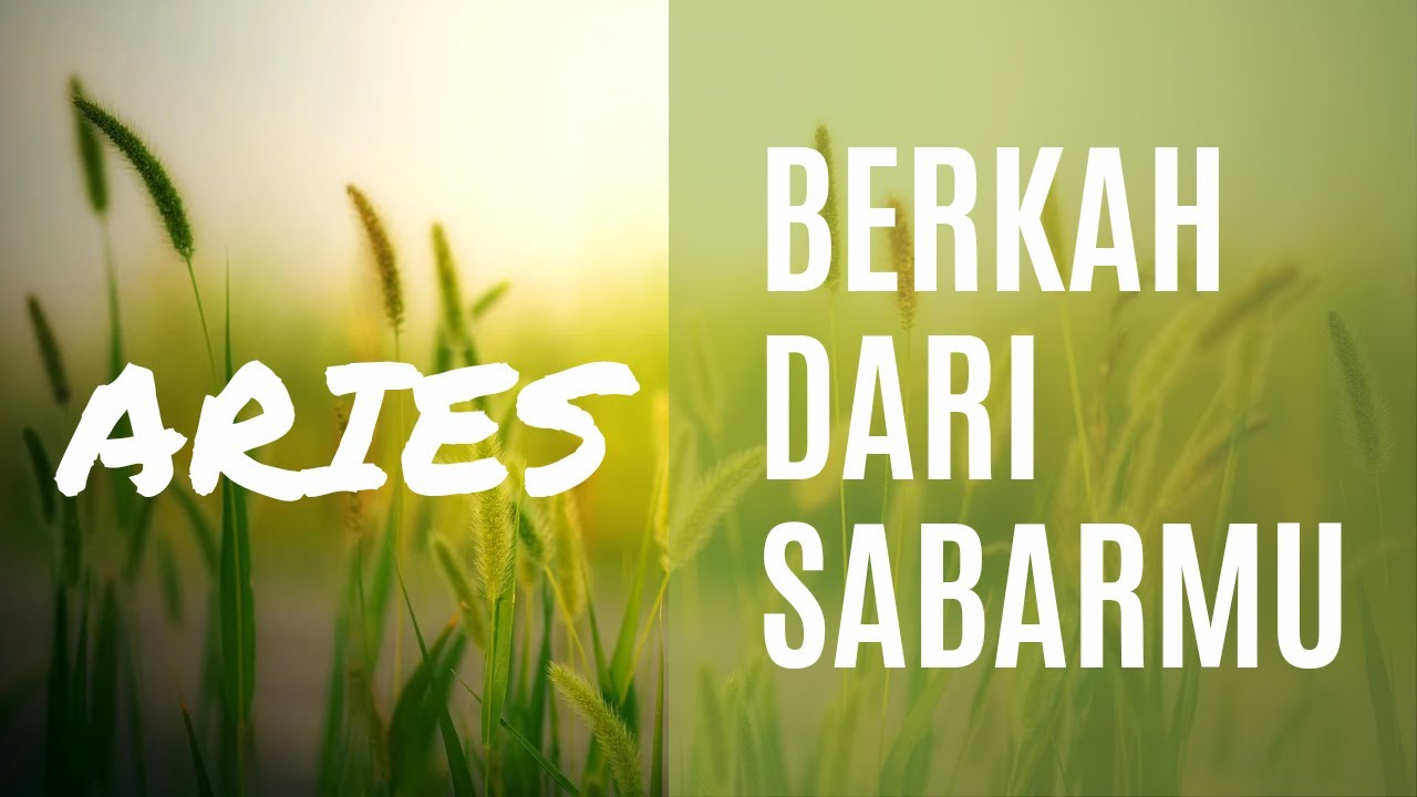 BERKAH DARI SABARMU🌈ARIES♈️ #aries #tarot #zodiak #ramalan - YouTube