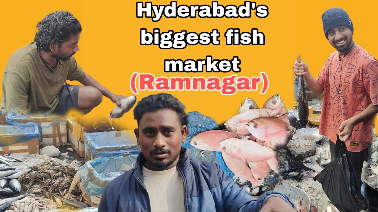 Hyderabad's biggest fish market 🐟🐟(exploring ramnagar fish market in ...