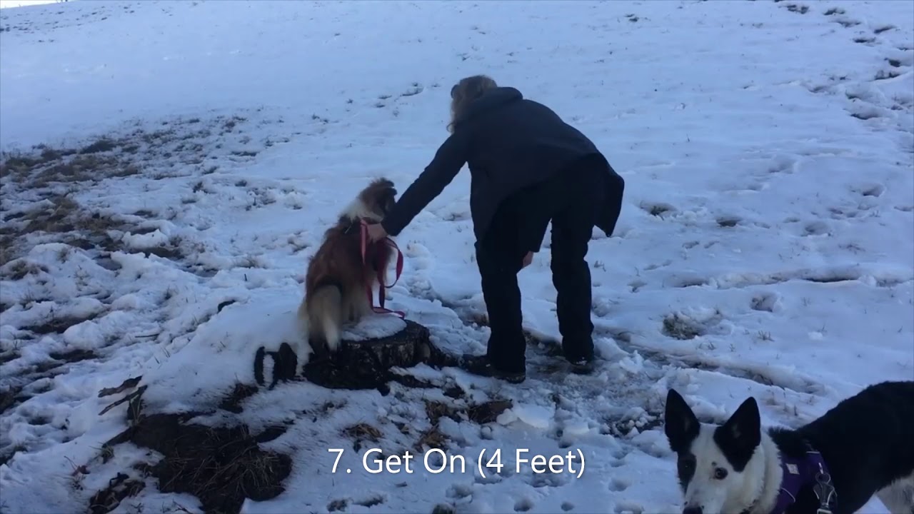 ADP Ford Frick Park Level 3a - YouTube