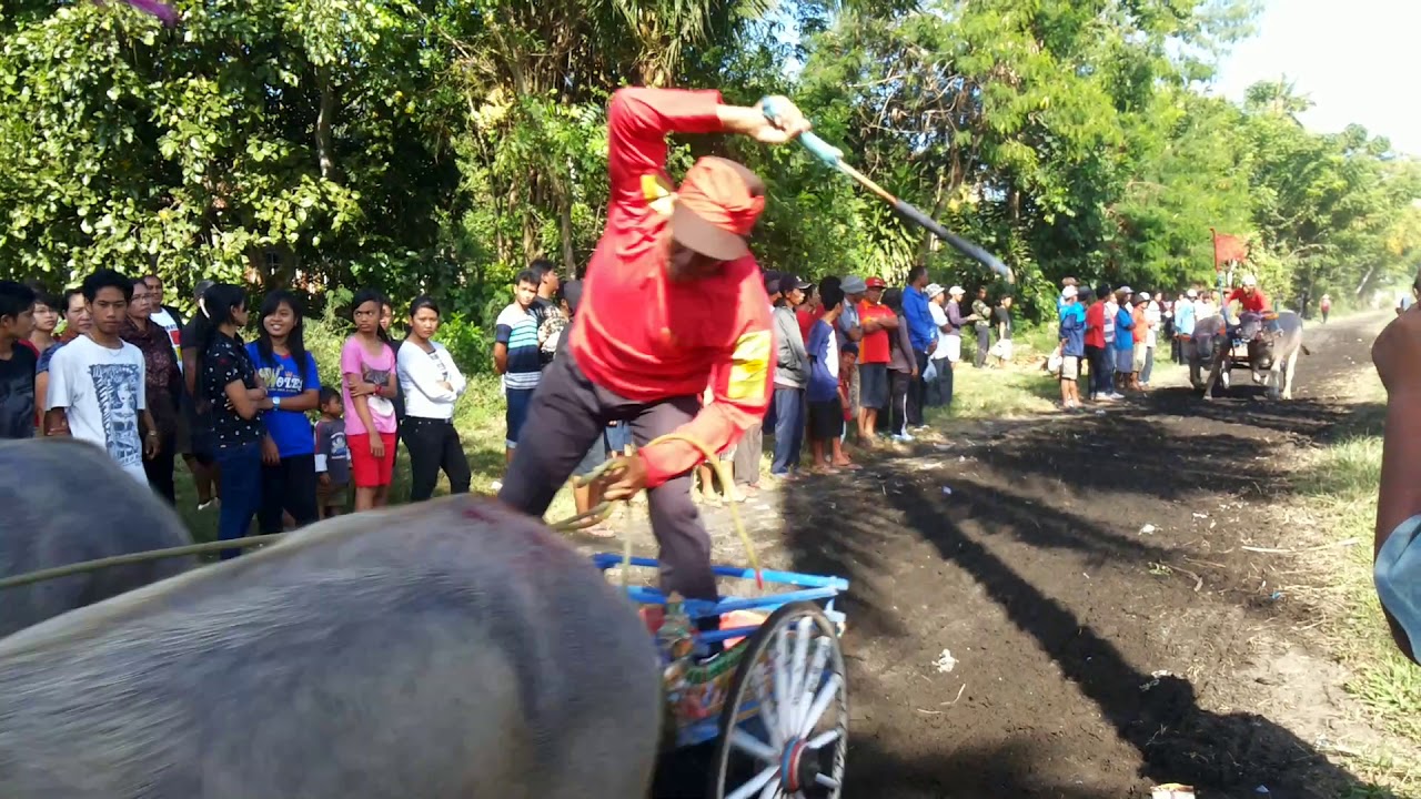 Hadangan Bali - YouTube