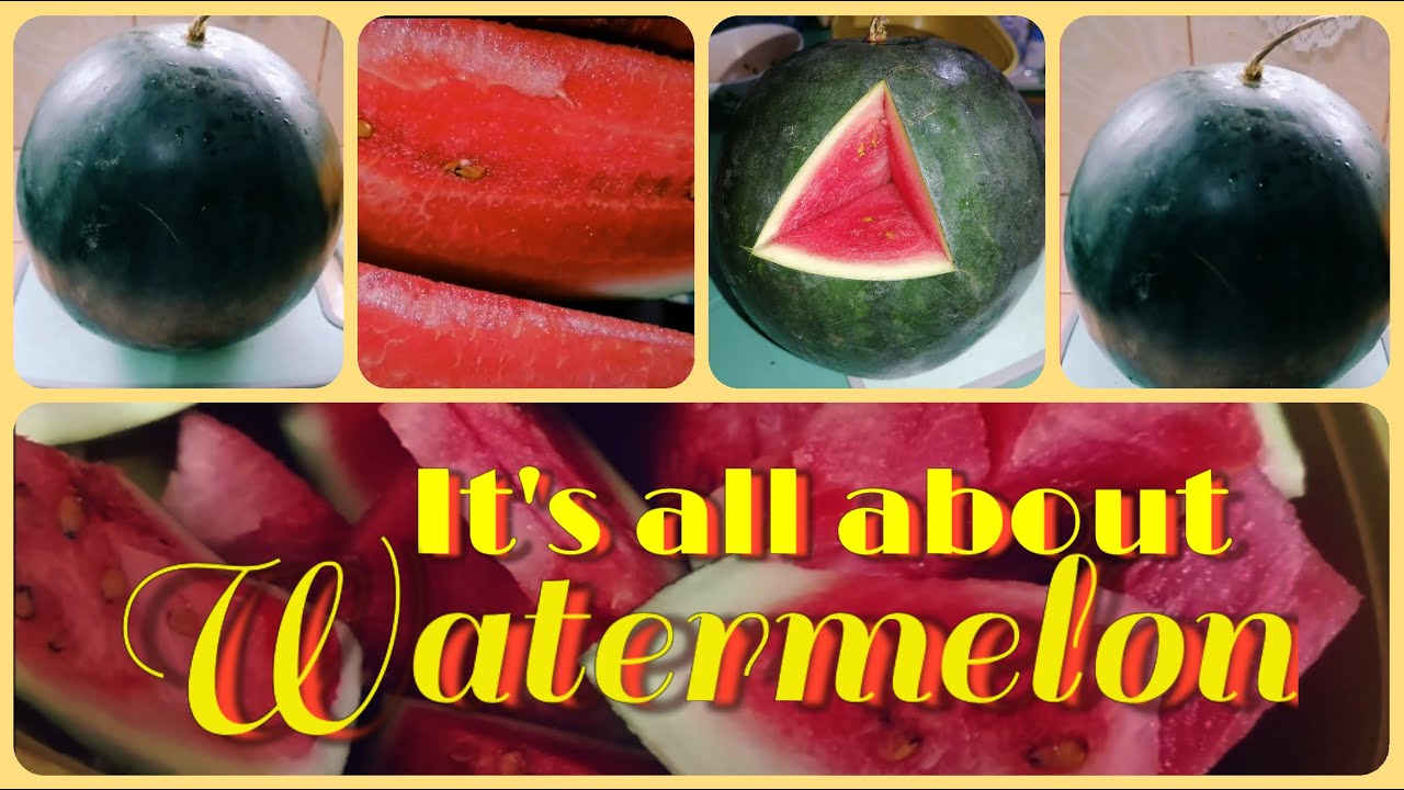 LET'S TALK ABOUT WATERMELON OR PAKWAN || HEALTH BENEFITS || FRUIT IN ...