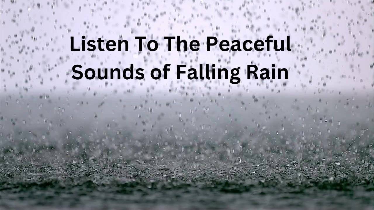 Listen To The Peaceful Sounds of falling Rain - YouTube