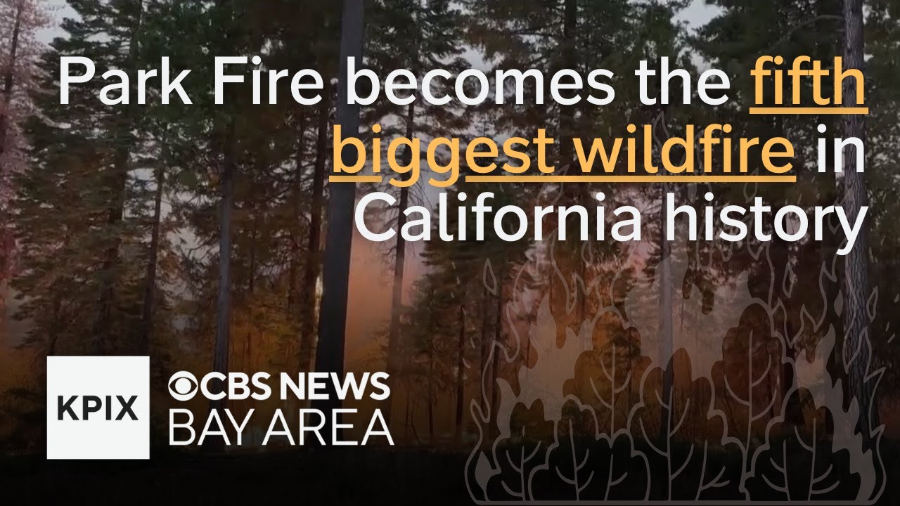 Park Fire becomes the fifth biggest wildfire in California history ...