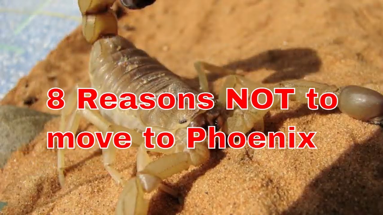 Dont move to Phoenix... - YouTube