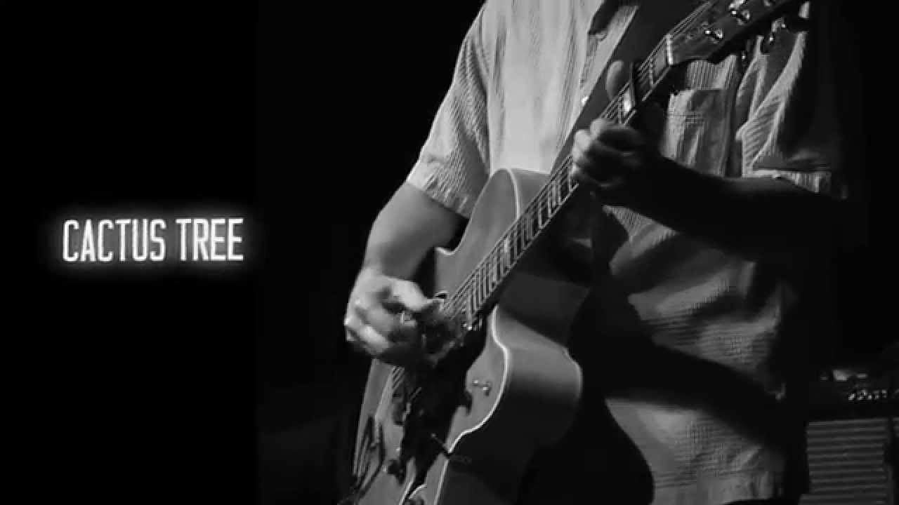 Cactus Tree - lee barber - YouTube