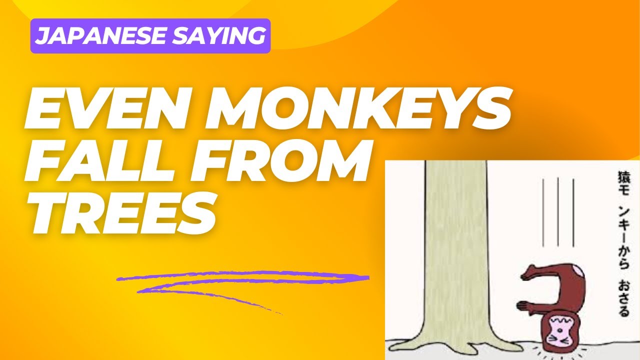 Japanese saying " even monkeys fall from trees" - YouTube